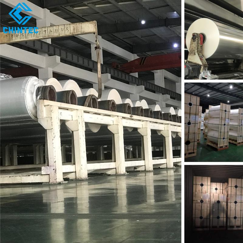 PLA Biodegradable Film, Corn Based Biodegradable Plastic Supplier and ...