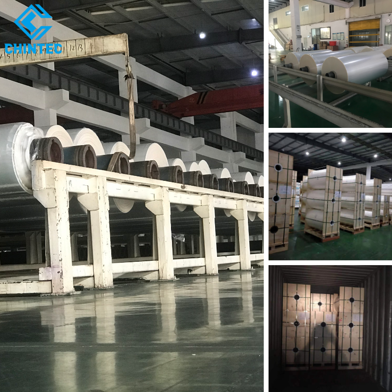 Matte BOPLA Film, Biodegradable Film Packaging Supplier and ...