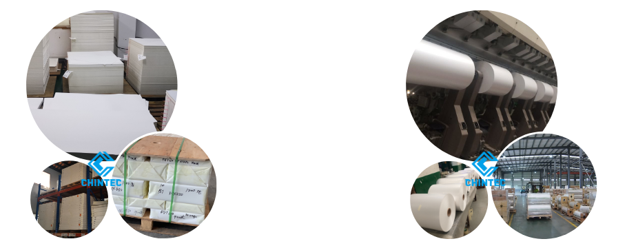 Water Resistant Paper, Tear Resistant Paper Supplier and Manufacturer ...